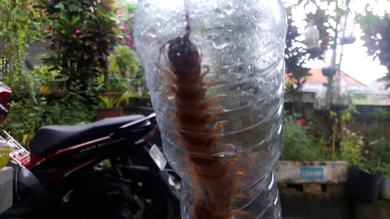 Ke dot nhap. - YouTube