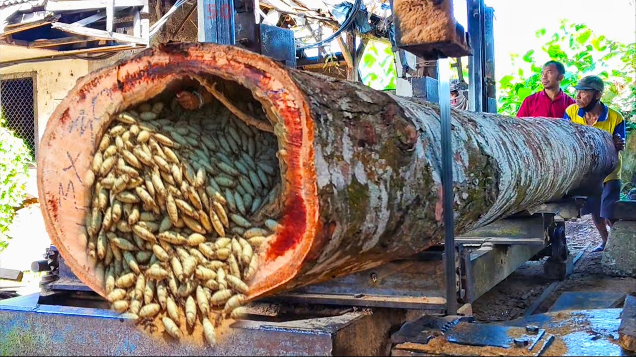 Unexpected profits || The production process of durian wood planks at ...