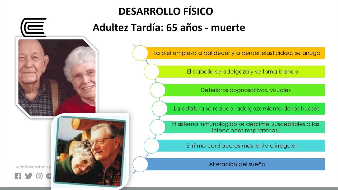 Desarrollo durante la adultez: temprana, intermedia y tardía - YouTube