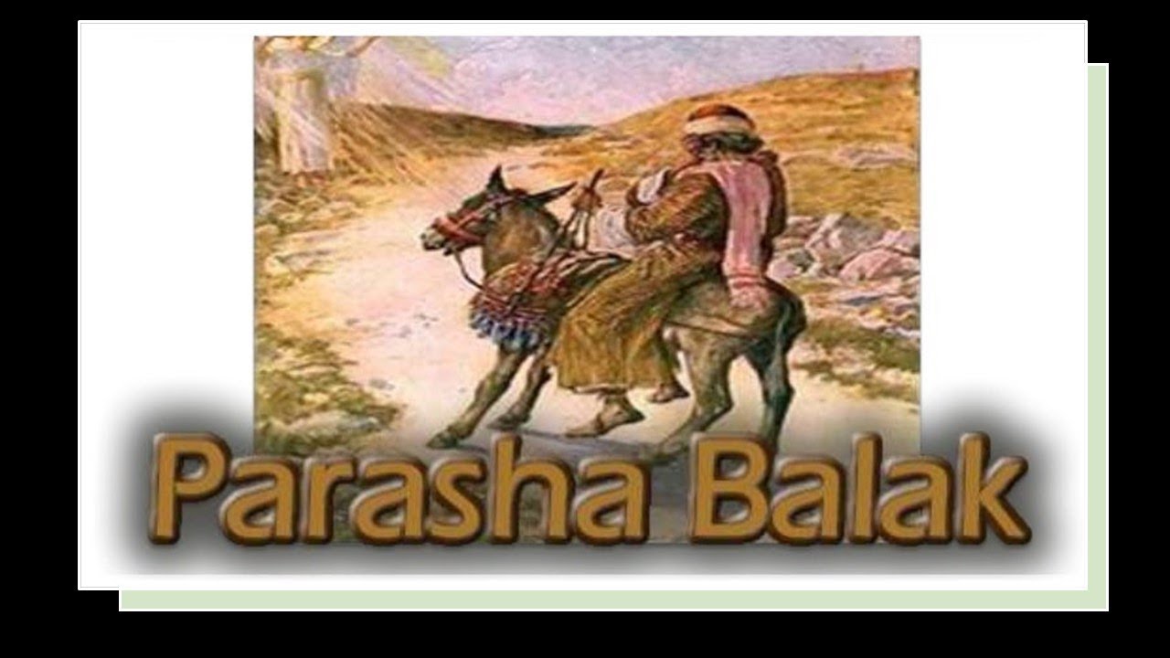 Parashat #Balak 5785 - YouTube