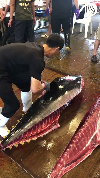 super sharp knife cut the bluefin tuna #bluefintuna #tuna - YouTube