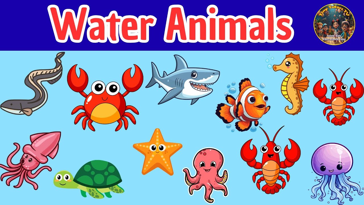 Water Animals | Water Animals for Kids | Fun Learning for Cambridge ...