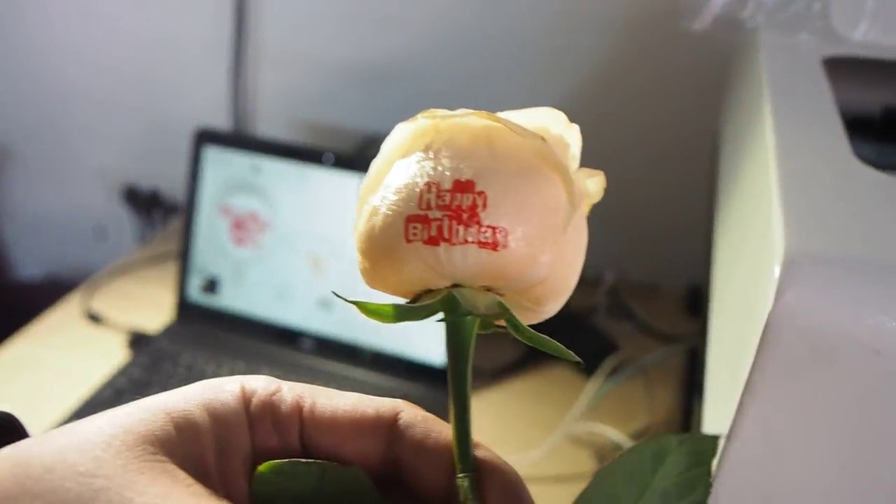 Flower Printer Flower Printing Machine - YouTube