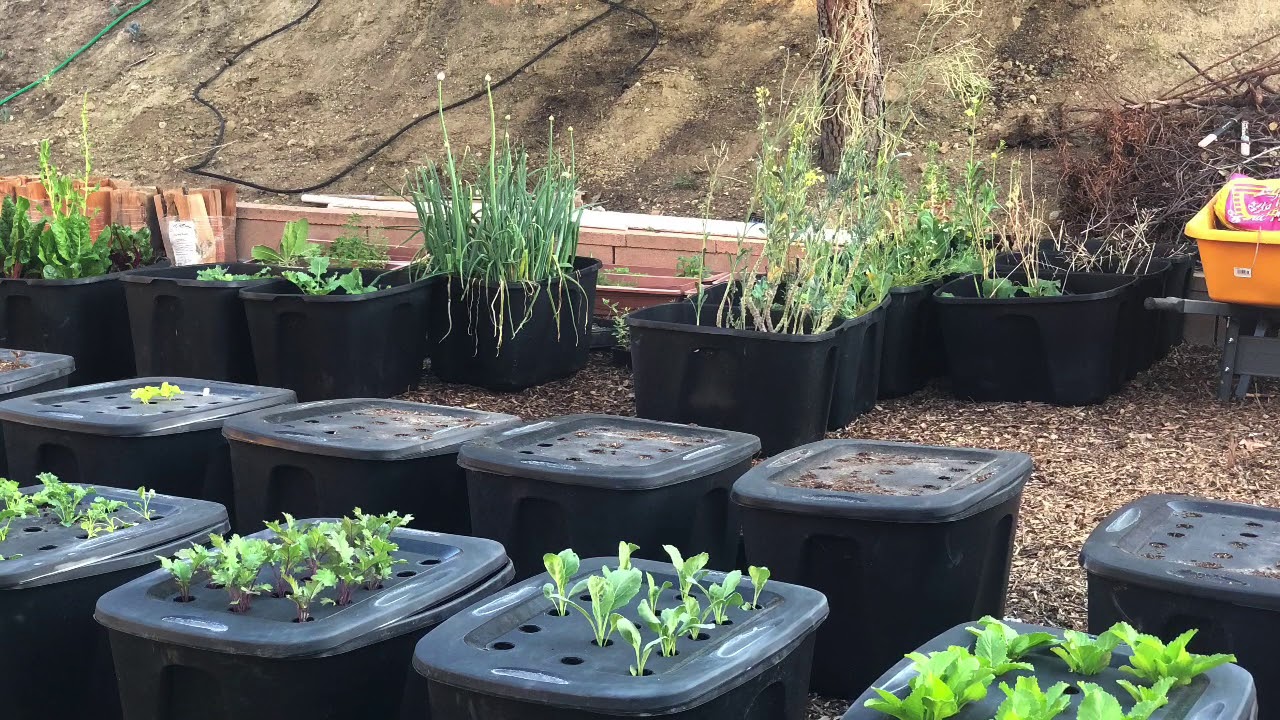 Snowden Farms - YouTube