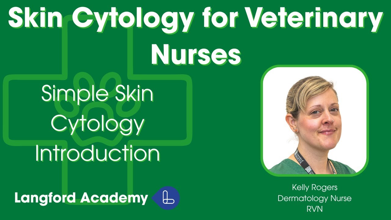 Skin Cytology for Veterinary Nurses Part 1: Dermatology Cytology ...