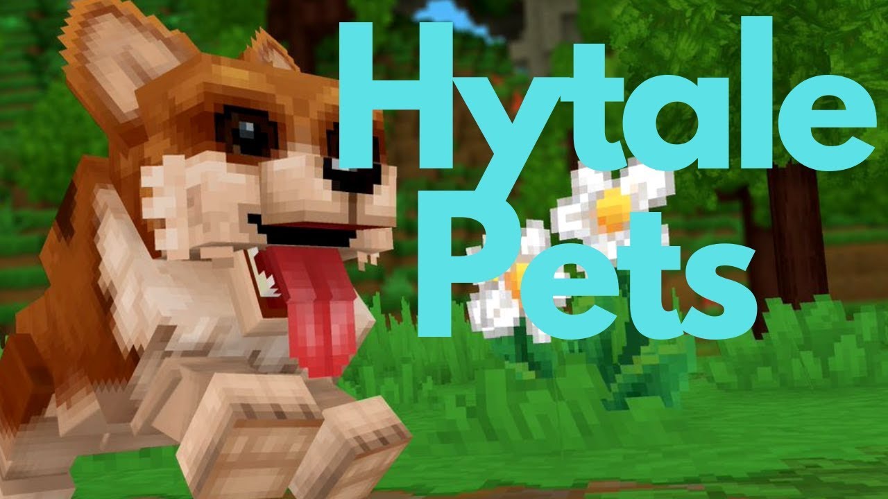Hytale pets! Sled dogs, Dragons and more! - YouTube