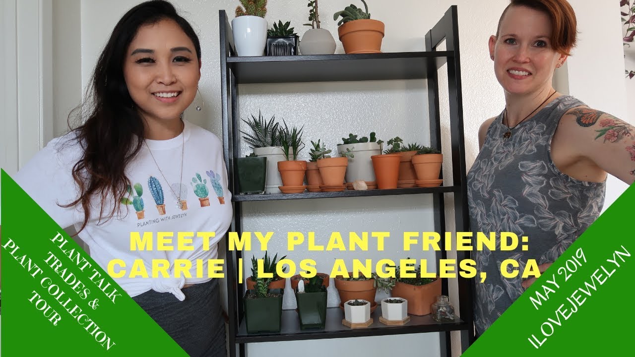 Meet my Plant Friend: Carrie | 150+ Plant tour | Los Angeles, CA | May ...