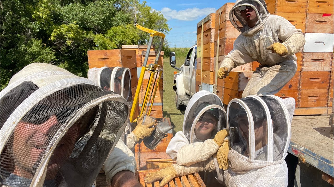 My Crew, My Kids #2-#5. Casual Saturday Honey Pull Video Clip - YouTube