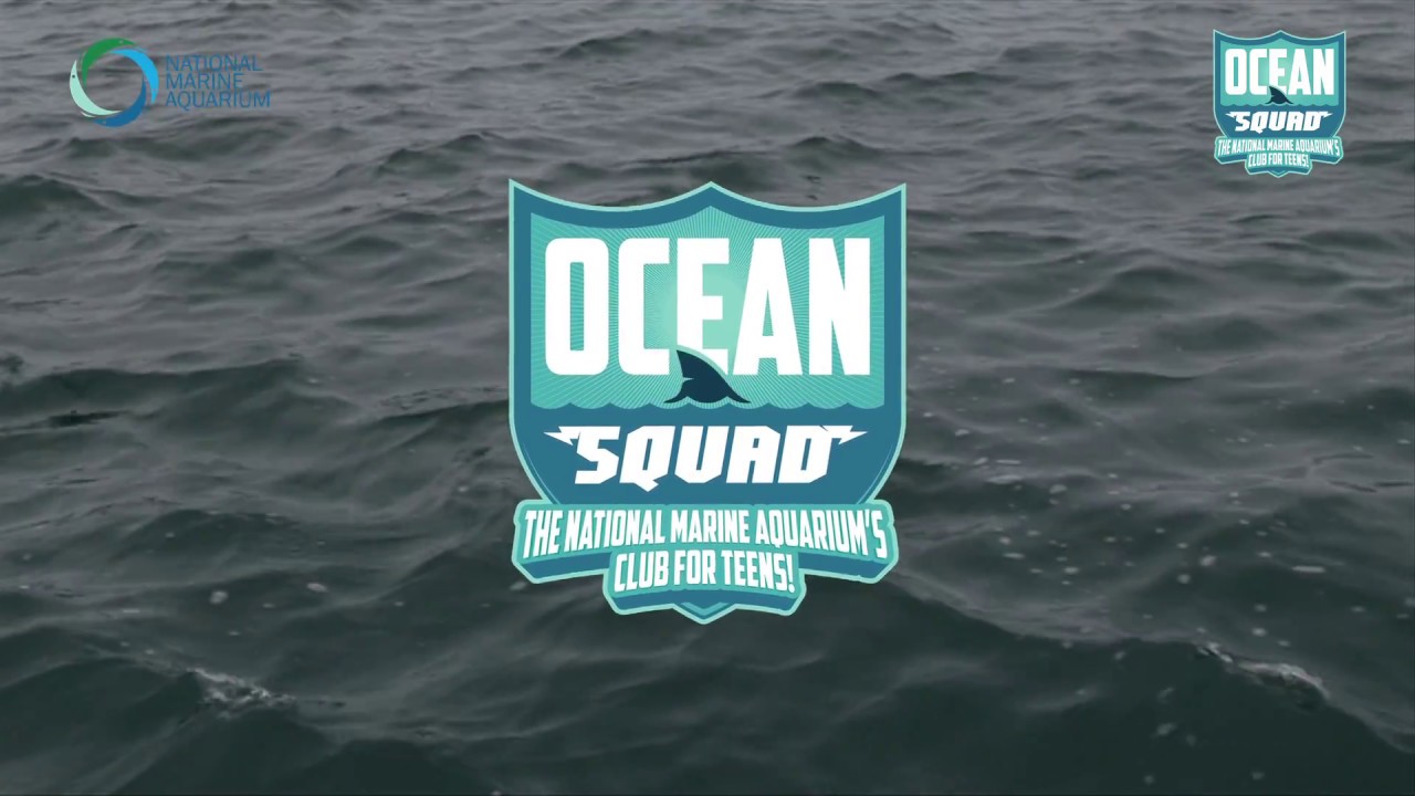 Ocean Squad - New Teen Club - YouTube