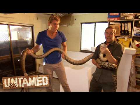 Best Wildlife Rescues! Chris Brown and Tim Faulkner Team Up! | Untamed