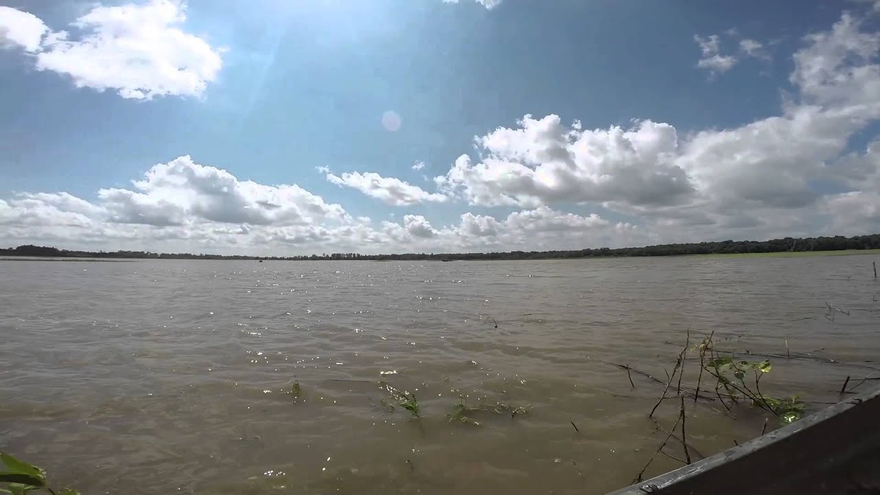 Swamp Runner™ longtail full throttle - YouTube