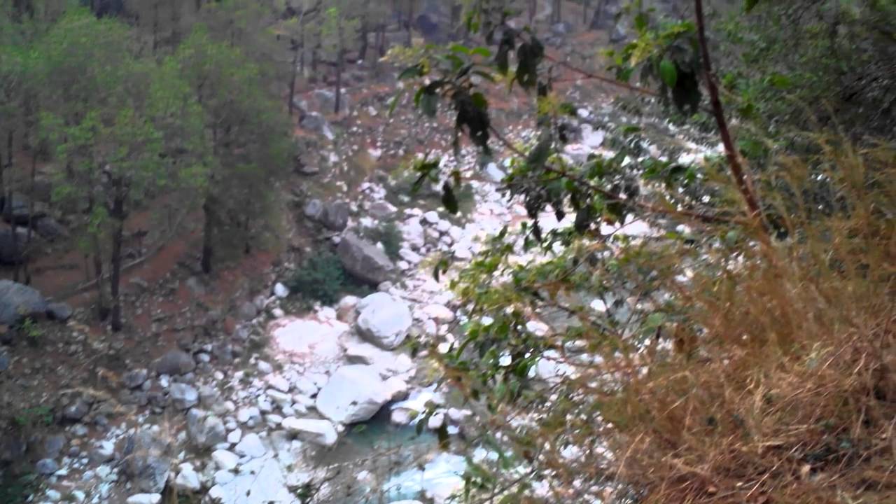 neugal khad,neugal cafe palampur, Himachal pradesh - YouTube
