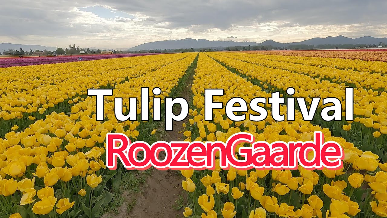 Roozen Garden | Fasci Garden