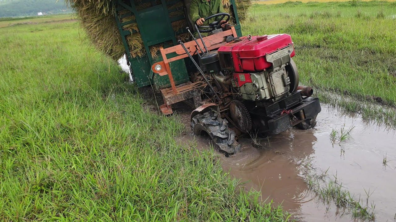 xe chở lúa chạy trên đất ruộng lầy bị lún quá sâu xe vẫn chạy - YouTube