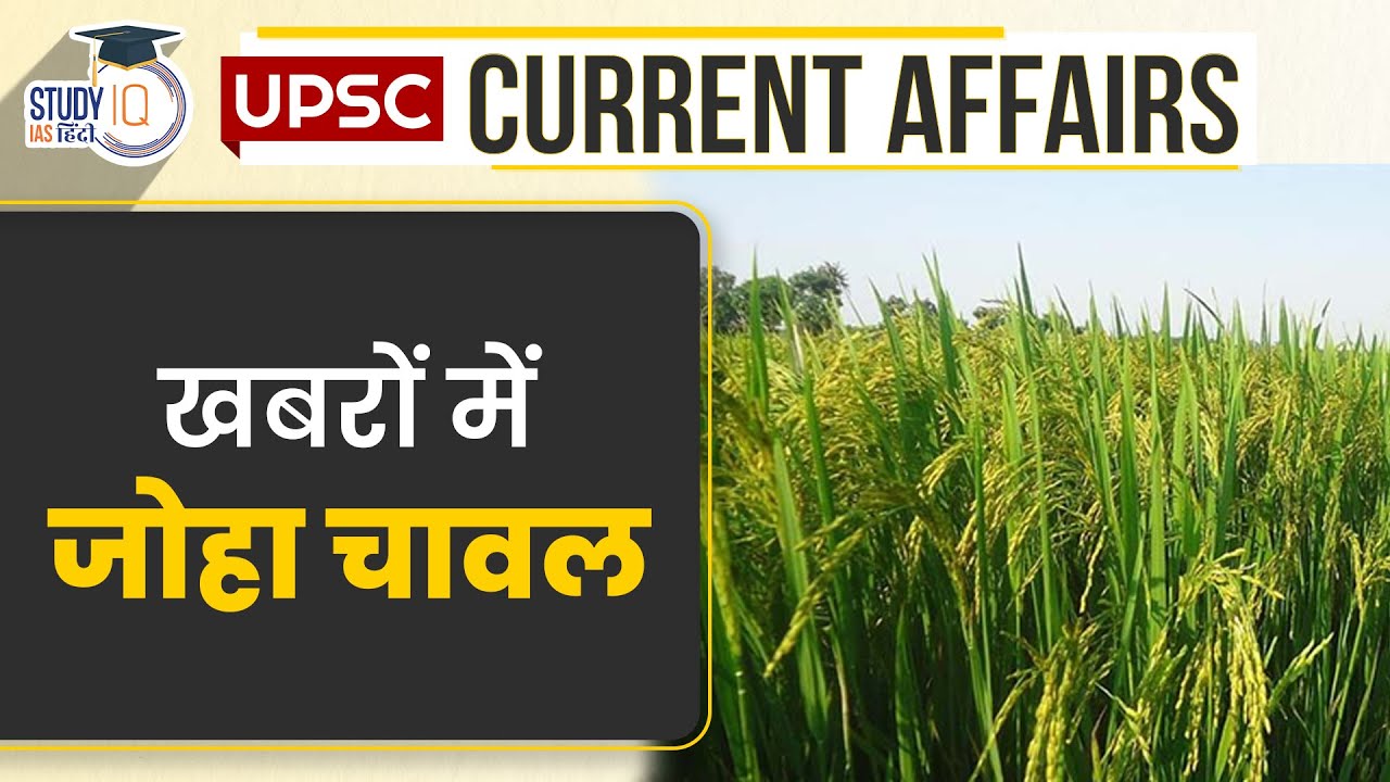 Joha Rice in The News | Current Affairs In Hindi | UPSC PRE 2024 | Study IQ IAS Hindi - YouTube