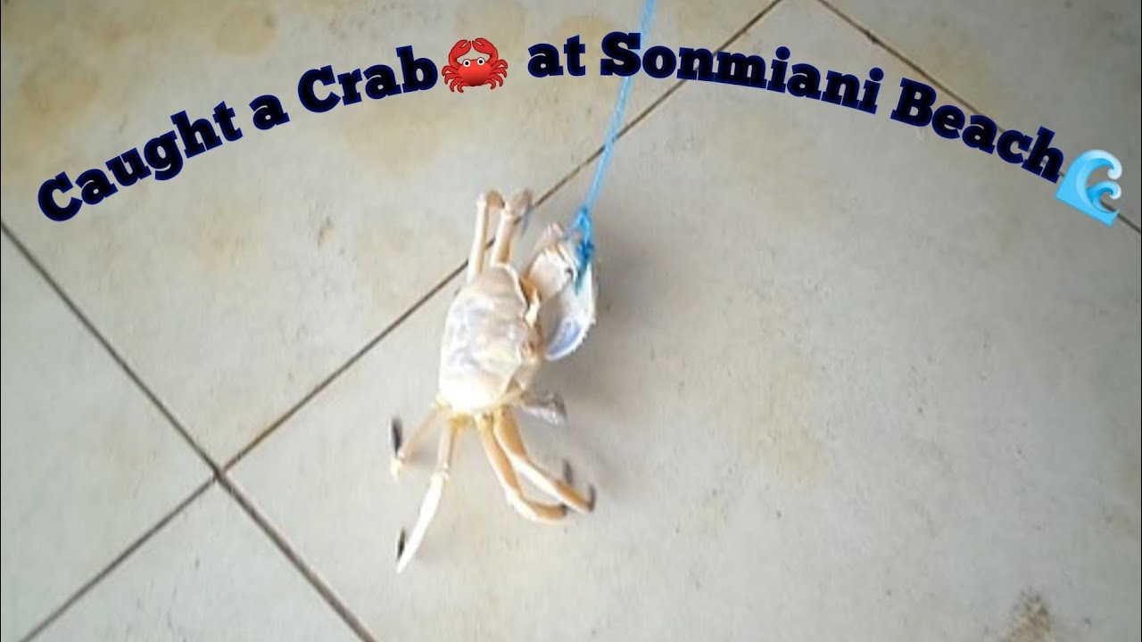 Crab Catch at Sonmiani Beach 🦀🌊 (@Tauseef957 ) - YouTube
