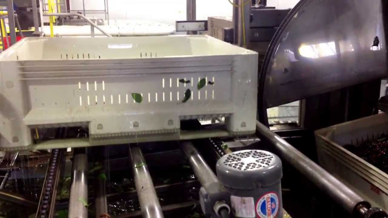 Allan Bros. - YouTube