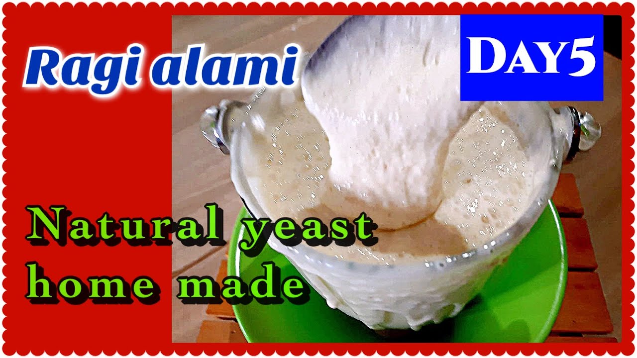 BAGIAN YANG MENEGANGKAN DALAM PEMBUATAN RAGI ALAMI HARI KE 5/SOURDOUGH ...
