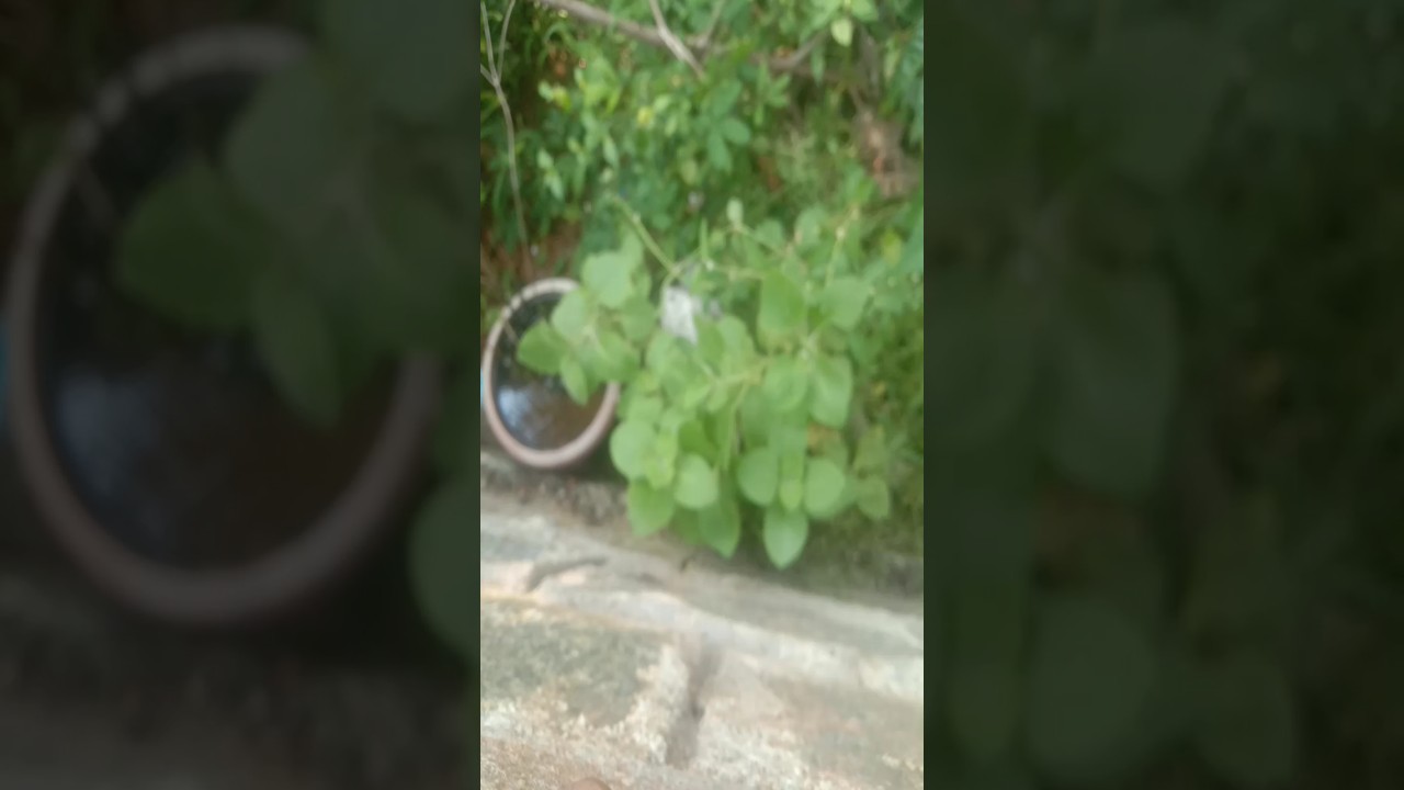 November 3, 2024 - YouTube