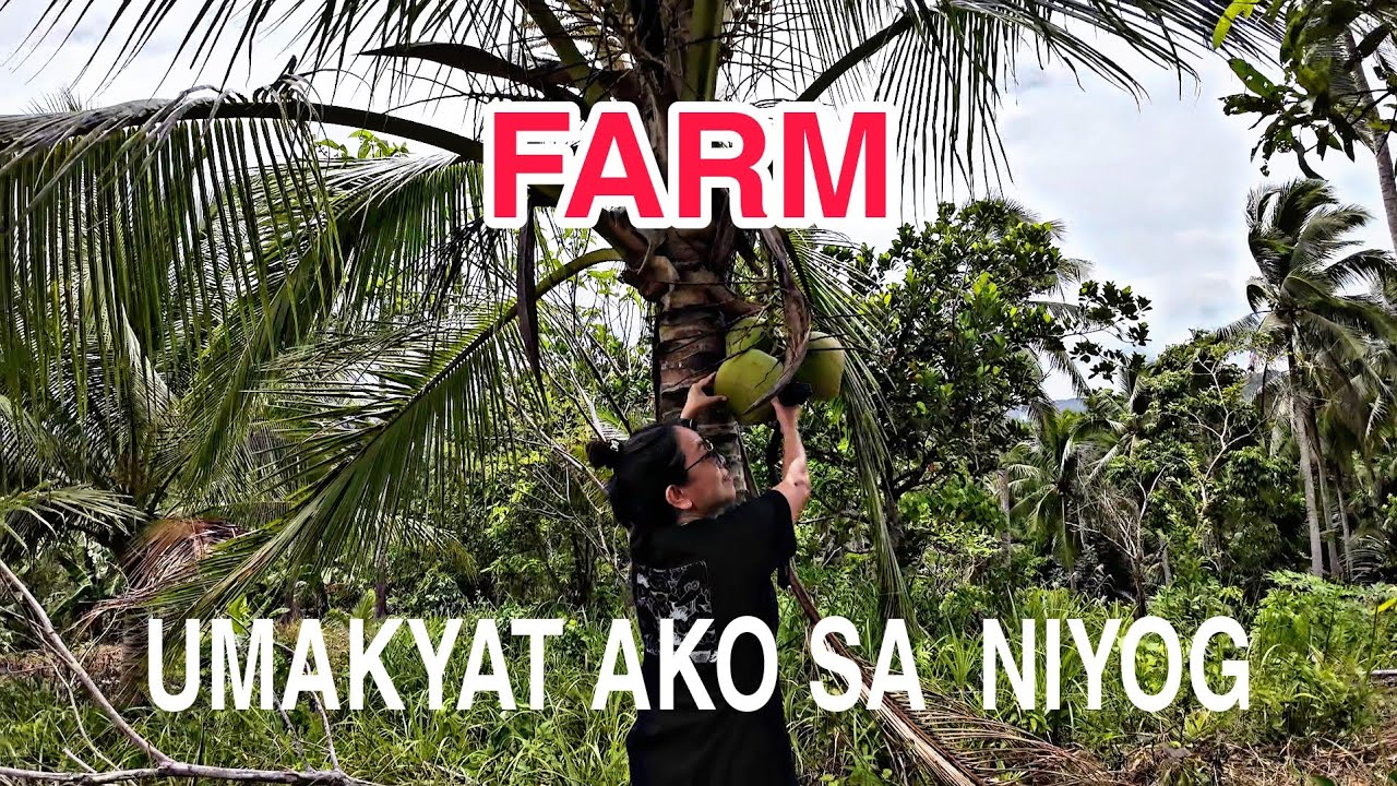 KULITAN SA FARM / BUHAY PROBINSYA - YouTube