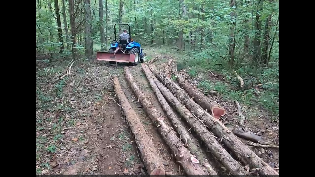 Harvesting Cedar Trees - YouTube