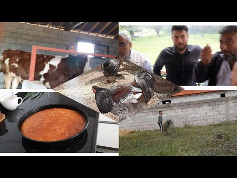 SÜPRİZİ ÇOK SEVDİM 🥰CIFTLIK DOLUYOR 📢REVANI COK SEVİLDİ