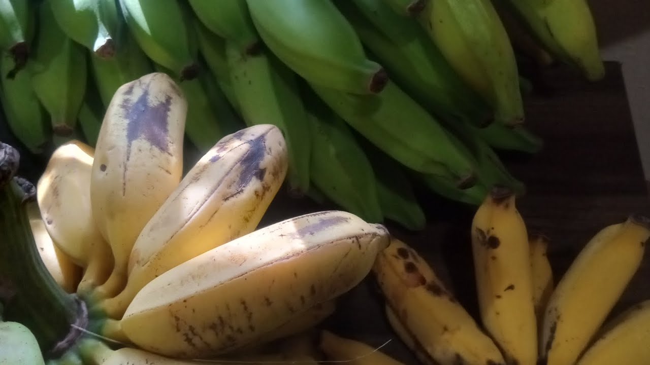 SUCHANDSUCH X REDS CORNER - "Bananas" @itstheredcorner - YouTube Music