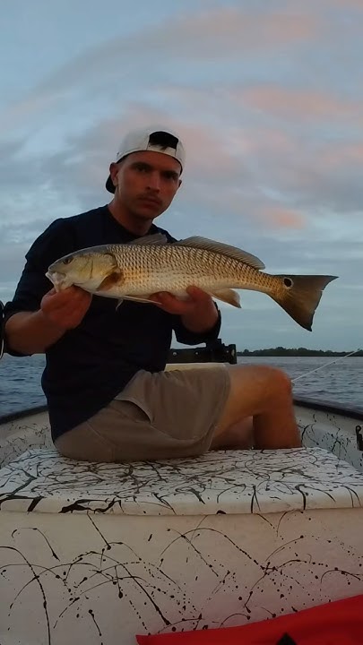 Fishing Tampa Bay - E2 - YouTube