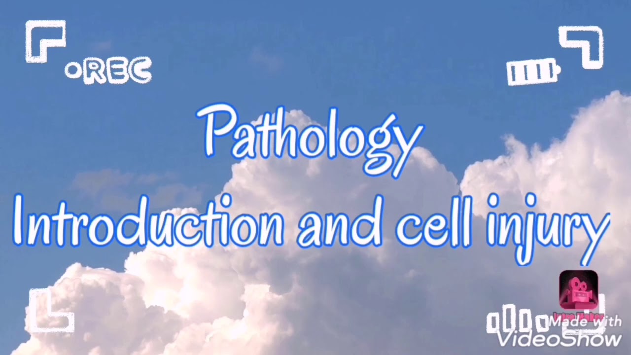 Pathology lectures (1) introduction and cell injury شرح جميل وسهل ومبسط ...