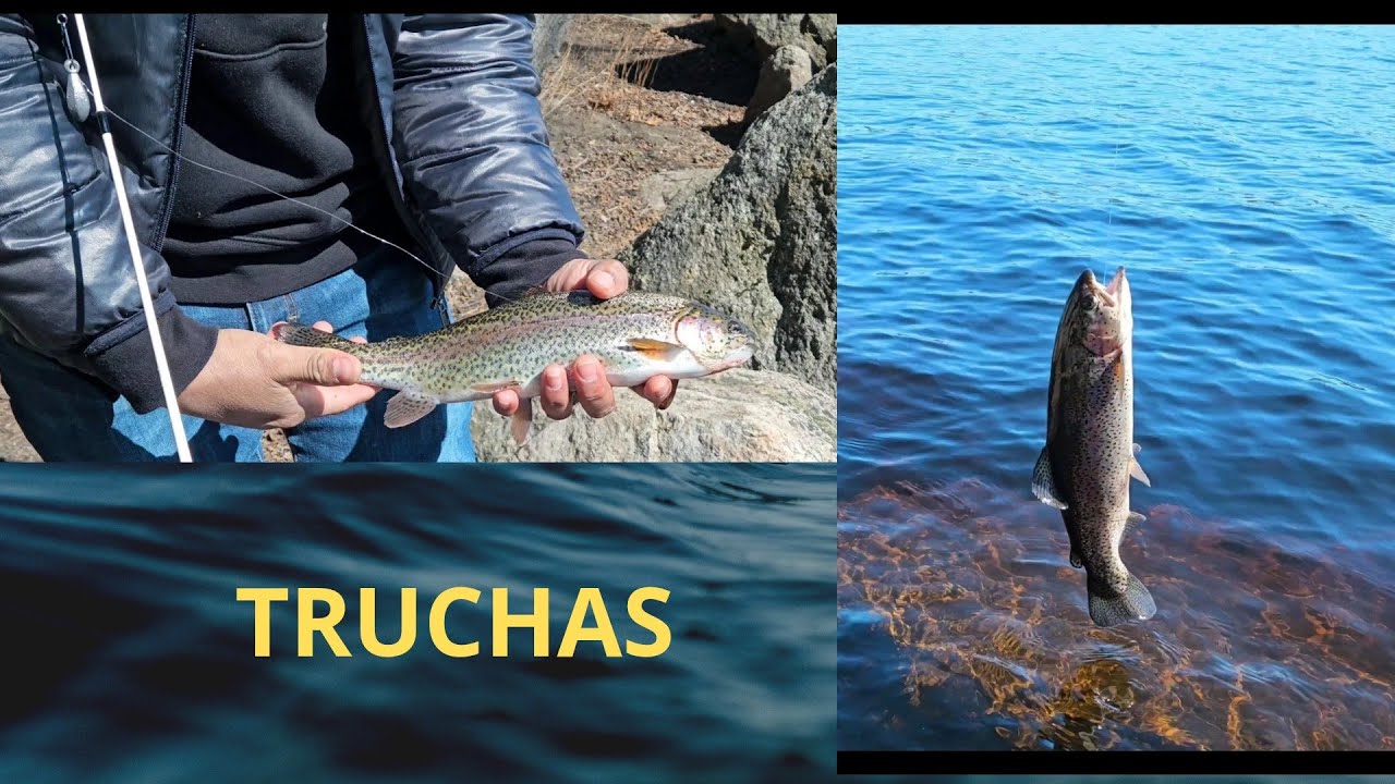 Nuestra primera vez pescando TRUCHAS 🎣 - YouTube