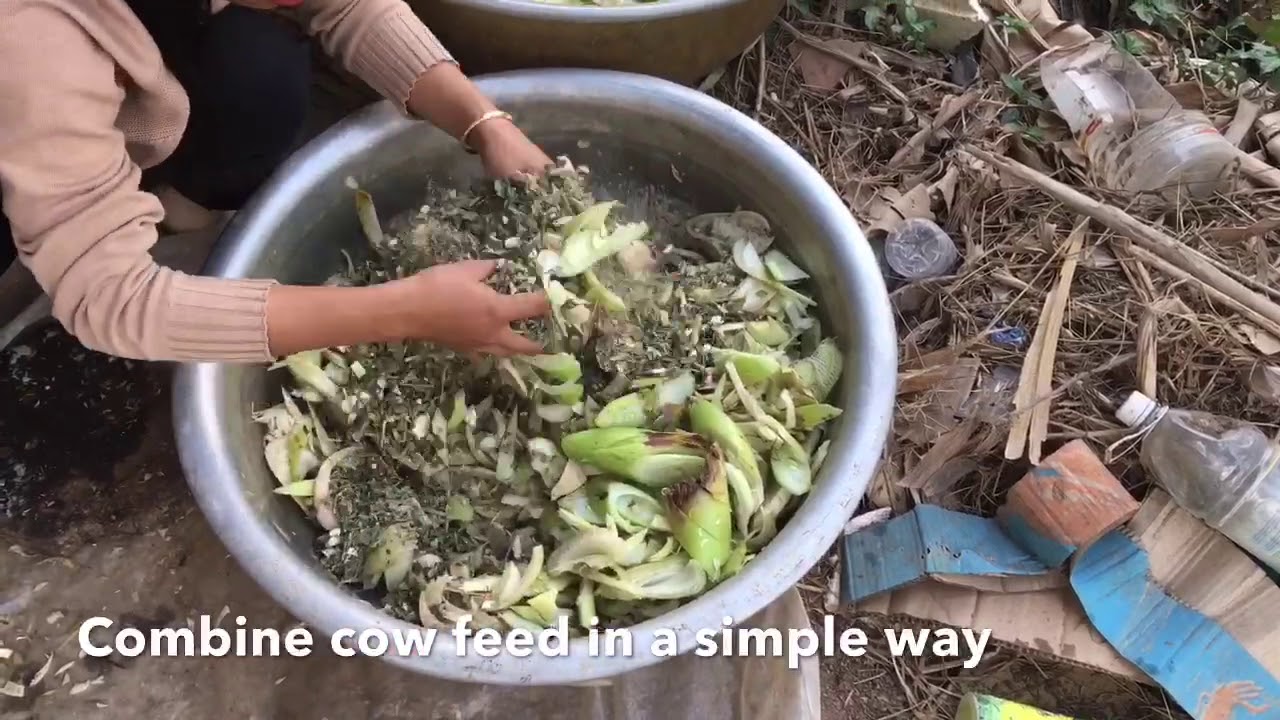 Combine cow feed in a simple way - YouTube