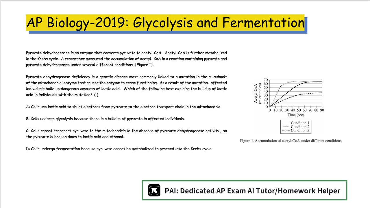 2019 AP Biology: Glycolysis and Fermentation: Respiration - YouTube