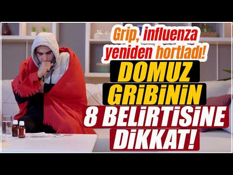 Domuz gribinin 8 belirtisine dikkat! Domuz gribi kendiliğinden iyileşir mi?