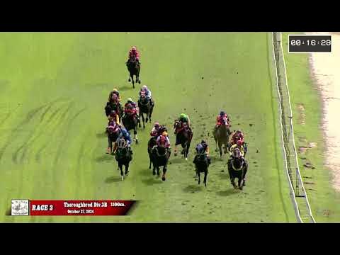 SUGAR DADDY wins! - 27/10/2024 - Race 3 - Thoroughbred Division 3B ...