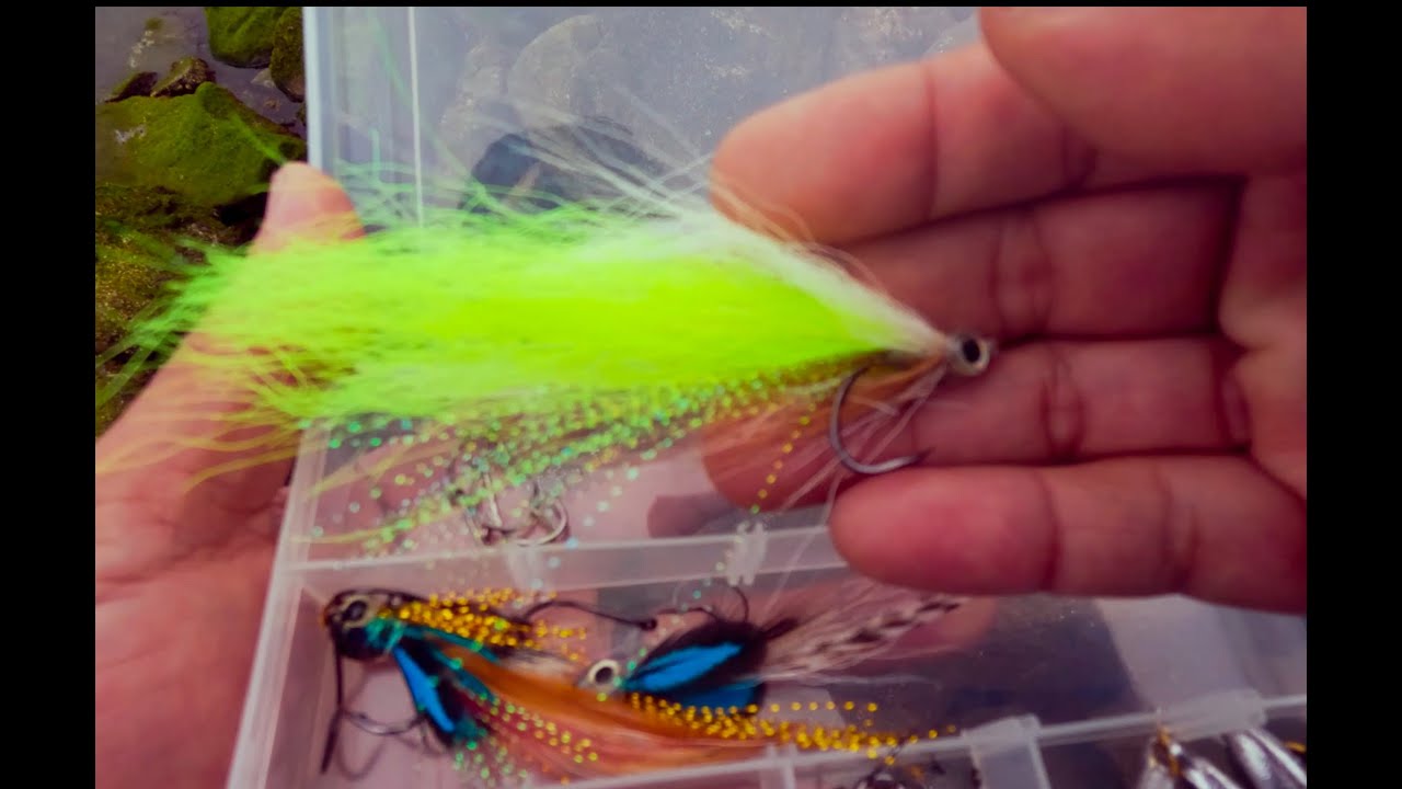 Fly Fishing for Bass and Halibut in Long Beach CA - YouTube