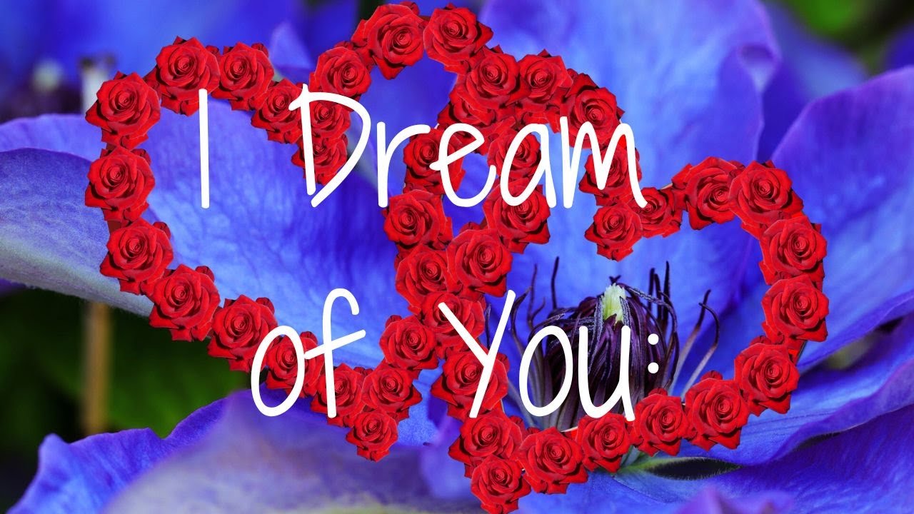 I Dream of You A Heartfelt Confession - YouTube