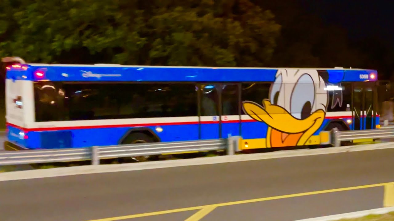 🟢🚌 Bus, Buses, Night Bus, Night Bus Station, Night Buses, Disney Bus ...