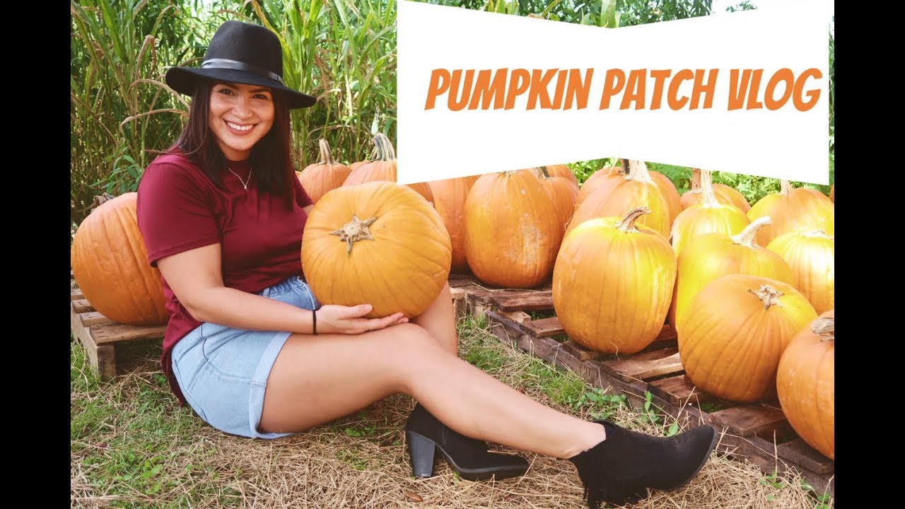 Pumpkin Patch Vlog - What to do in Spring Hill FL - YouTube