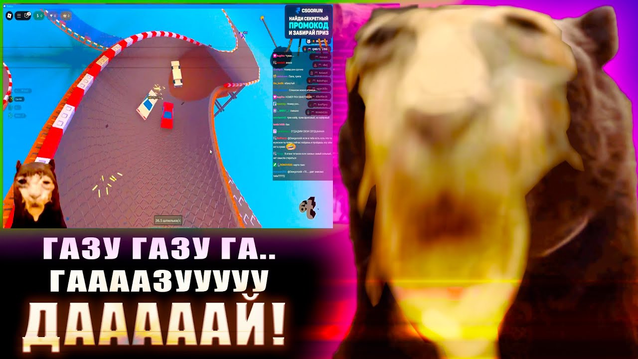 DAWG ГОНЯЕТ НА ЖУТКИХ ТРАССАХ ROBLOX - YouTube