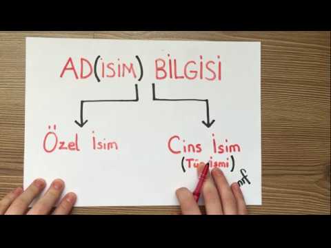 ÖZEL İSİM-CİNS İSİM 1. SINIF KONU ANLATIMI