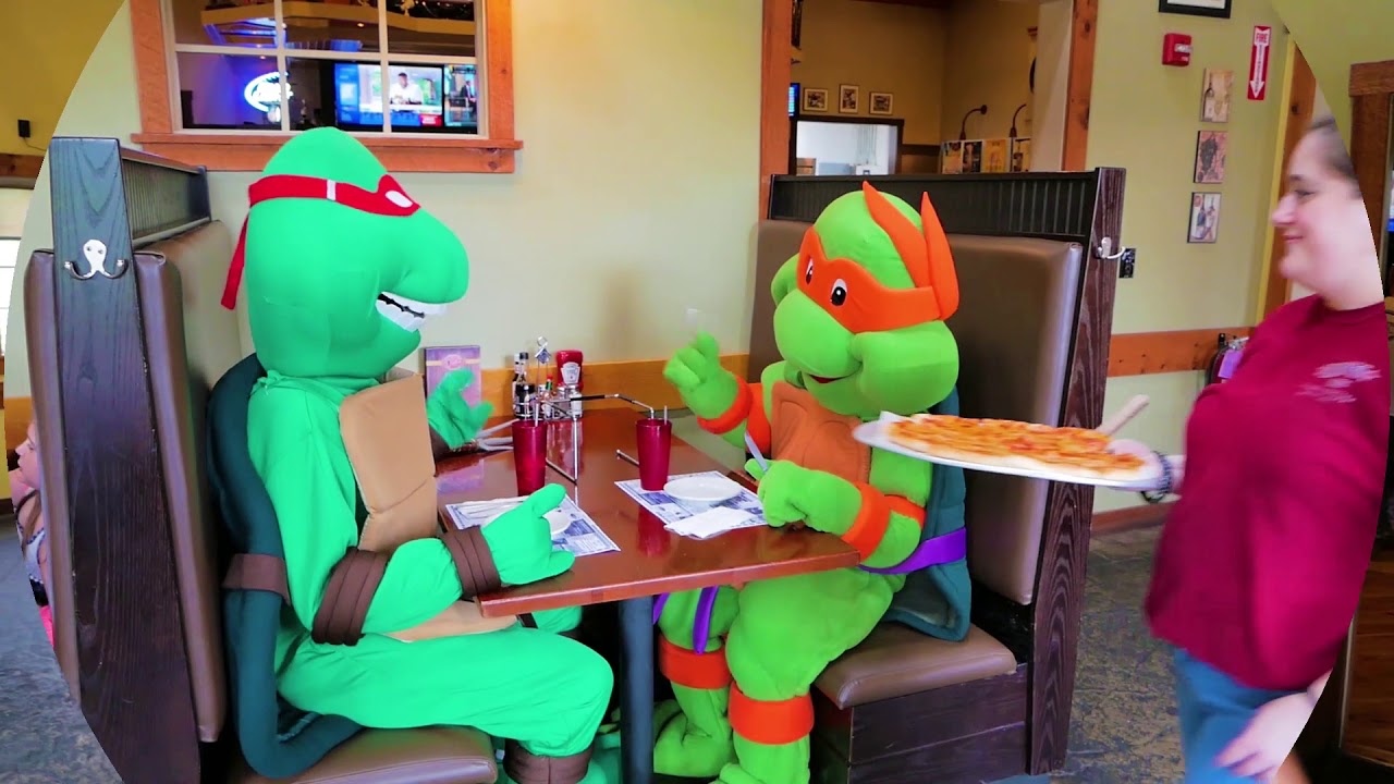 Ninja Turtles at Dan's Place - YouTube