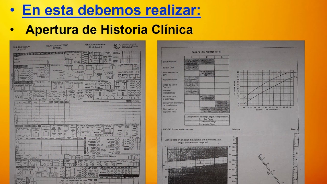 Control Prenatal 2020 con audio - YouTube