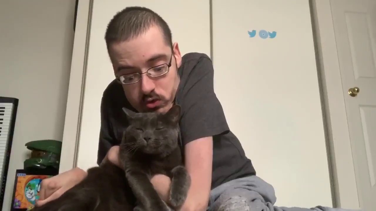 CAT HUGS 🐱 - Ricky Berwick - YouTube