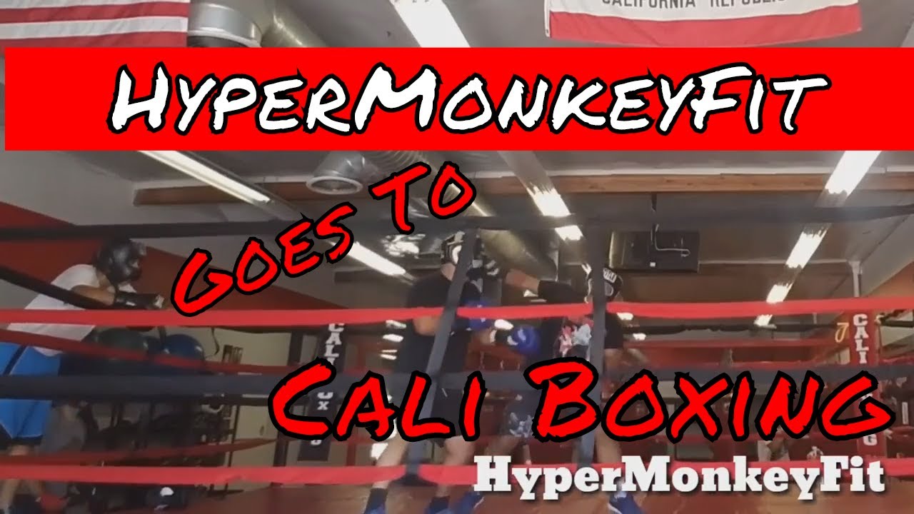 A Hyper Monkey Goes to Cali Boxing and Spars - YouTube