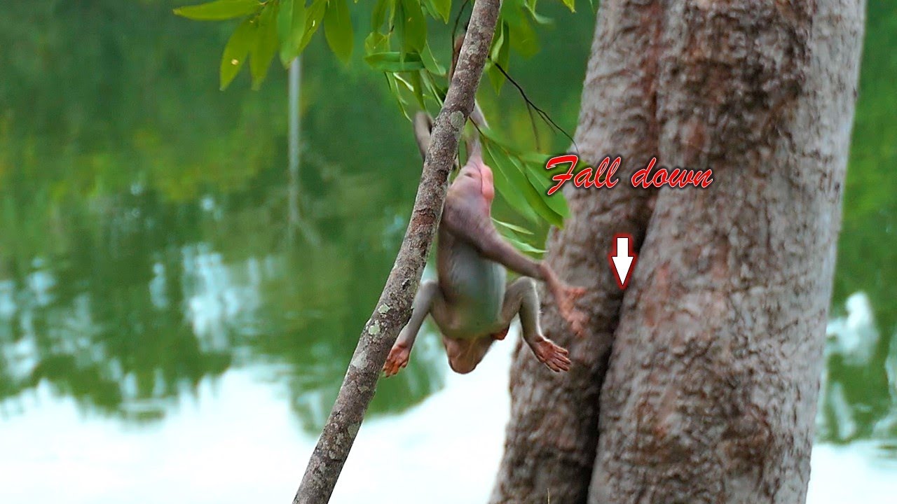 Fall 5 meters high - YouTube