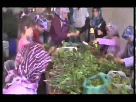 Süs biberinden çelenk