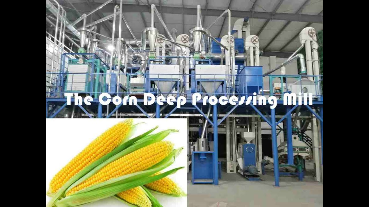 Corn germ oil in bangladesh|The Corn Deep Processing Mill #corn #maize ...