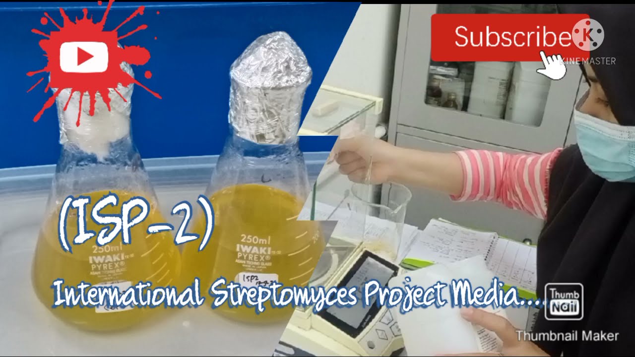 Cara membuat media ISP-2 (International Streptomyces Project Media ...