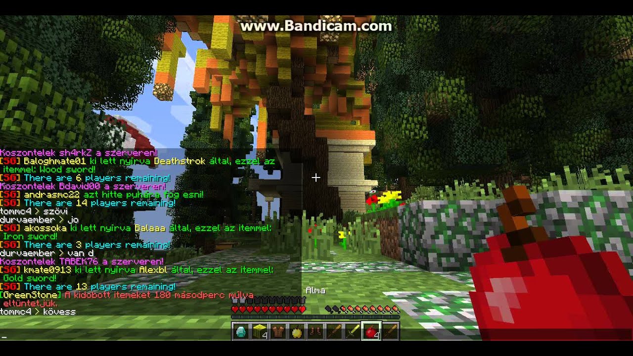 MesterMC HungerGames 1.rész - YouTube