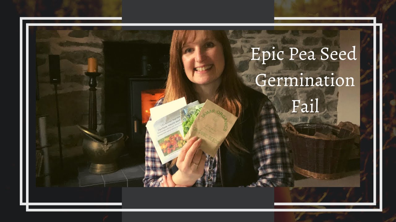 Epic Pea Seed Fail | Succession Planting | Garden Journal | Rainy Day ...